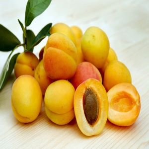 50+ Fruit Names List In English And Hindi » Names Pad